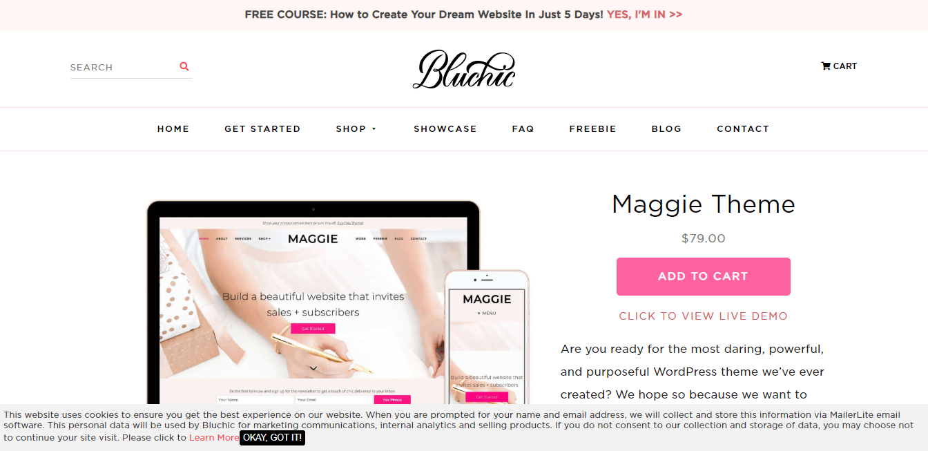 10+ Best feminine WordPress blog theme - Wishful Blog